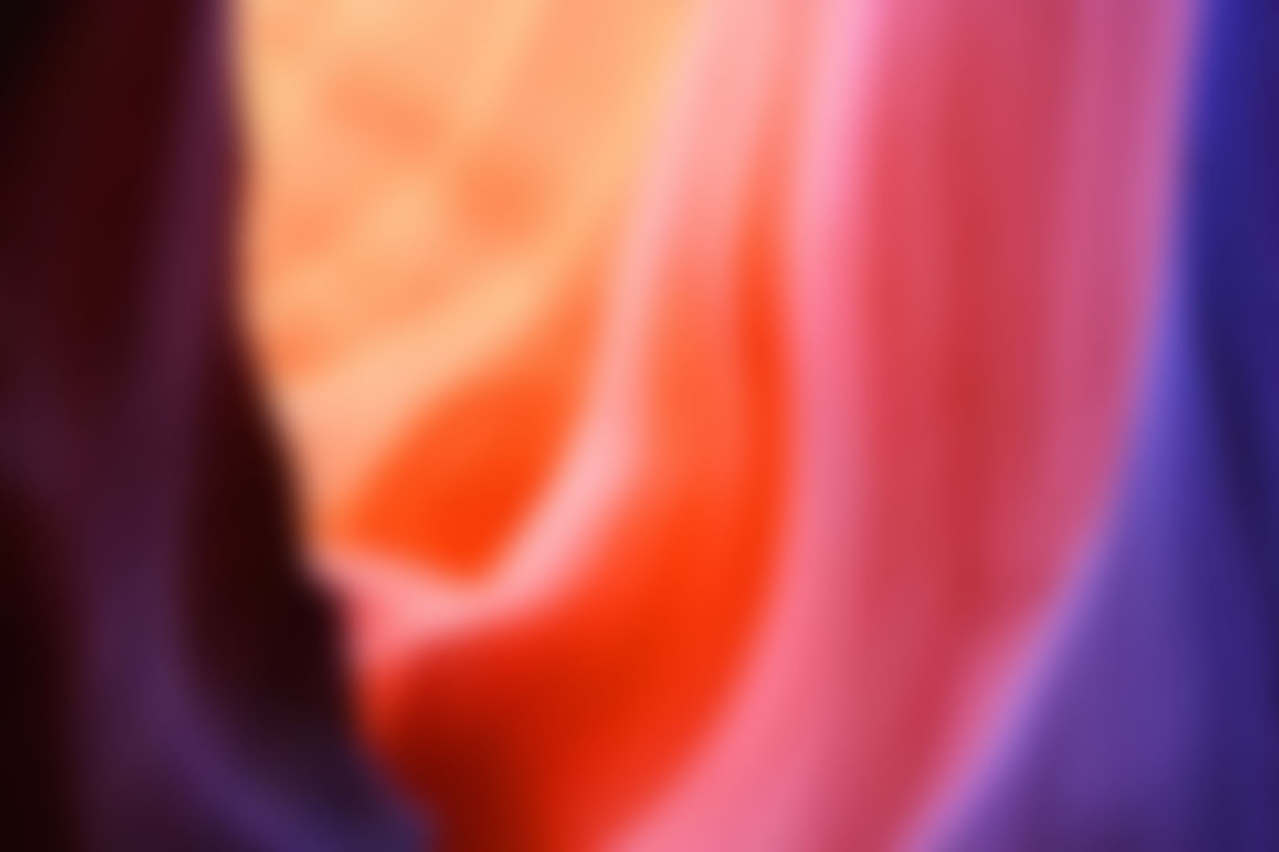 “A camel is a horse designed by committee” | VOXP Technologies ...